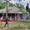 Tree Removal, Trimming & Stump Grinding | Austin, TX | Aaron's Tree Service